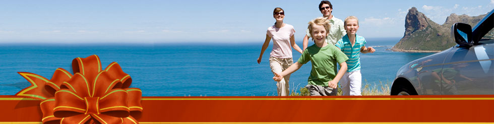 Elinz Christmas Gift Guide