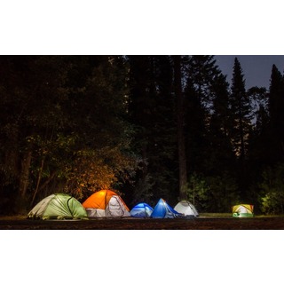 Why You Should Go Camping Now